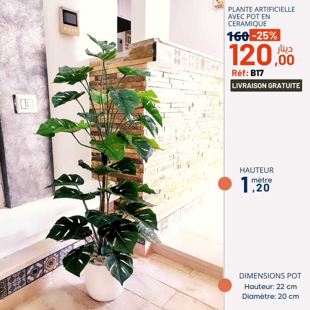 Faux philodendron, Monstera deliciosa Avec Pot En Céramique B17 ...