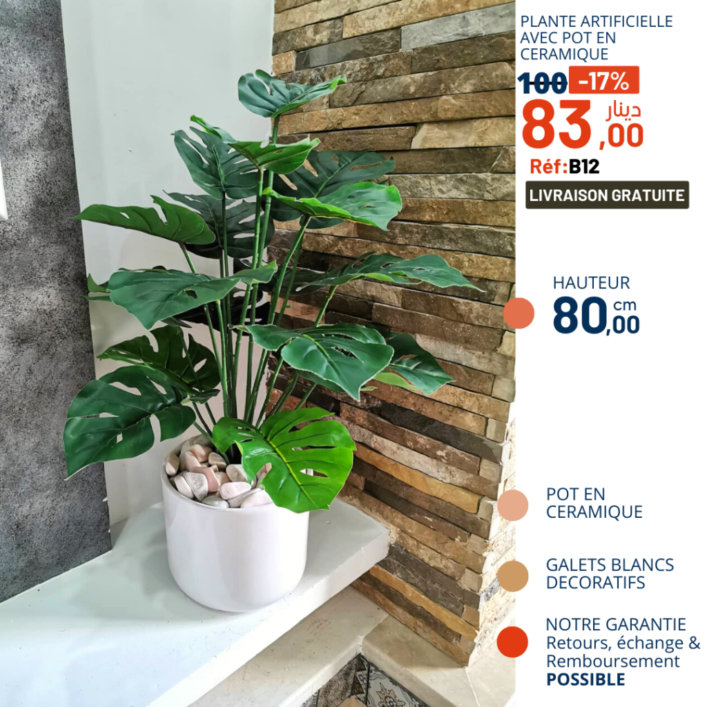 Faux philodendron, Monstera deliciosa Avec Pot En Céramique B12 ...